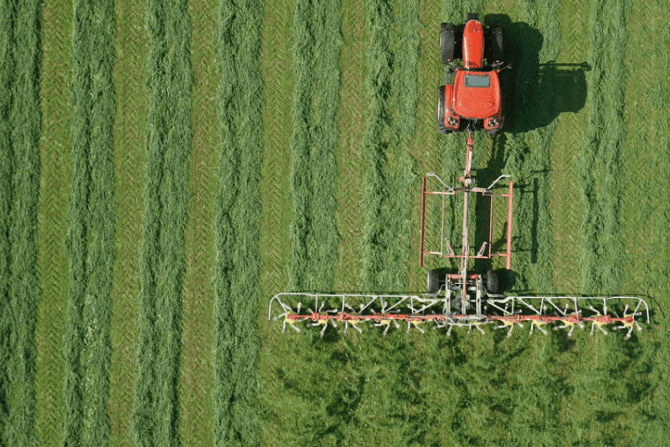 New vs used - What to consider when buying machinery. - Gammies